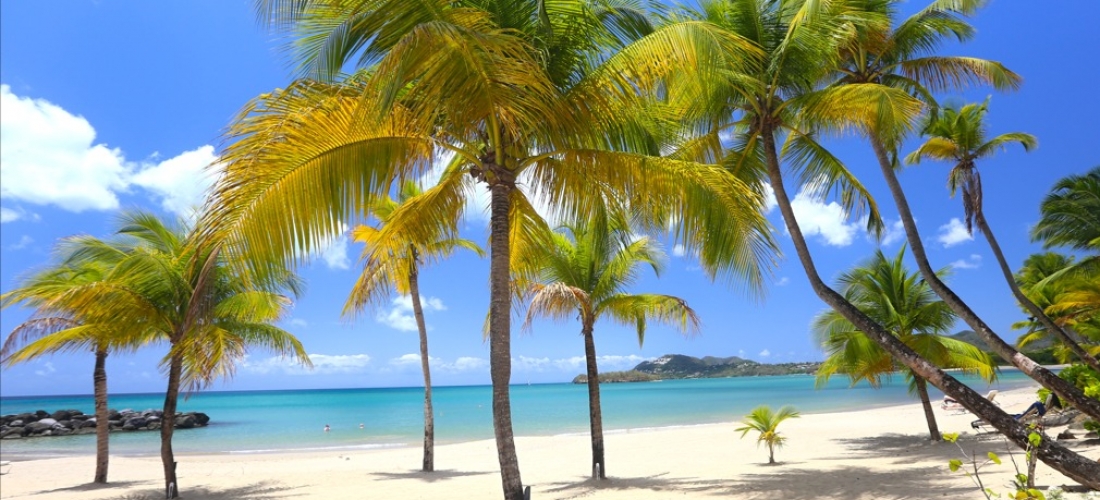 Win flights | Travelscoop