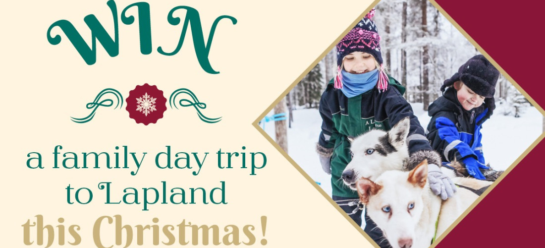 Win flights | Travelscoop